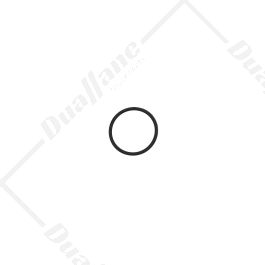 Purchase Detroit Water Manifold Profile Sealing Ring | A0249972848 for ...